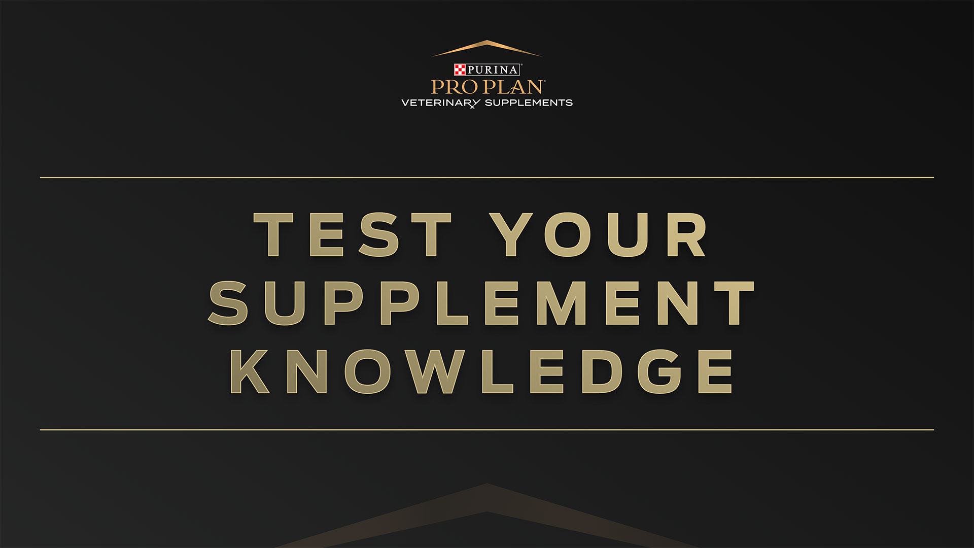 NEXTlab | AFC Portfolio – ECI Projects Microsite